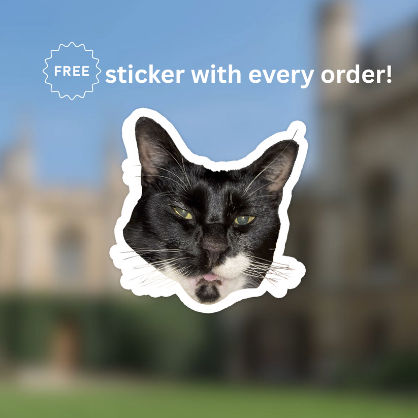 Delulu University Official Hoodie – Layze